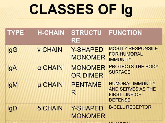 IMMUNOGLOBULINS G- STRUCTURE OF IgG MOLECULE | PPT