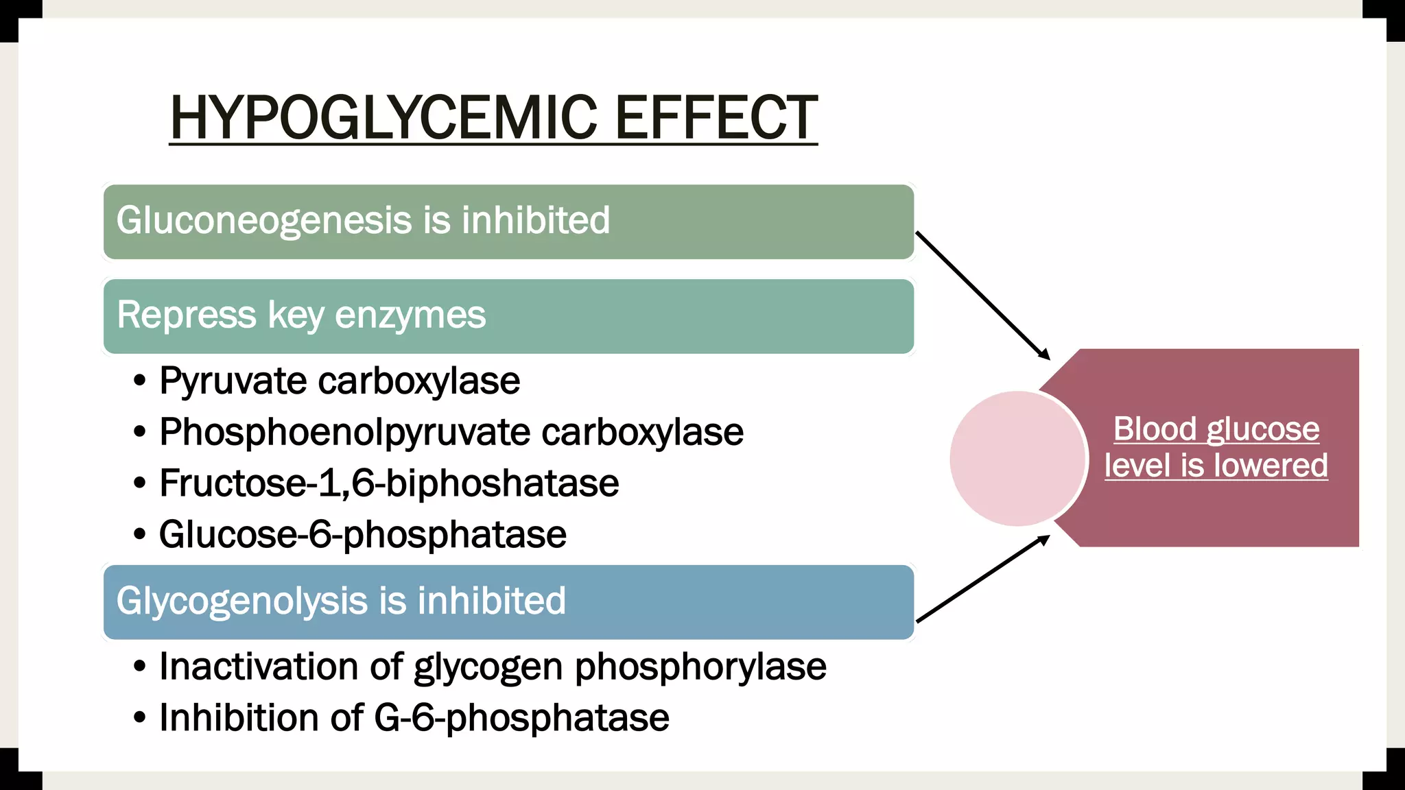 biochemistry- Role of insulin in metabolism- PHYSIOLOGICAL ACTION OF ...