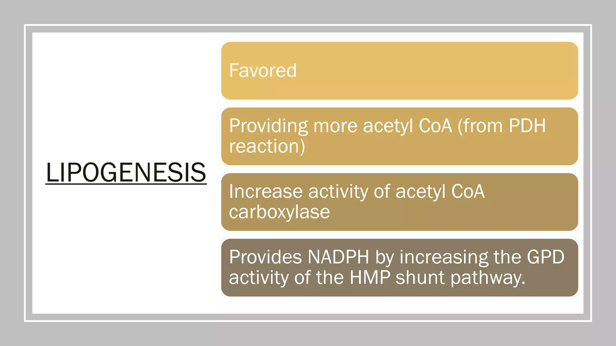 biochemistry- Role of insulin in metabolism- PHYSIOLOGICAL ACTION OF ...