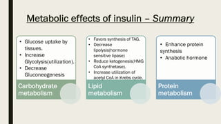 biochemistry- Role of insulin in metabolism- PHYSIOLOGICAL ACTION OF ...