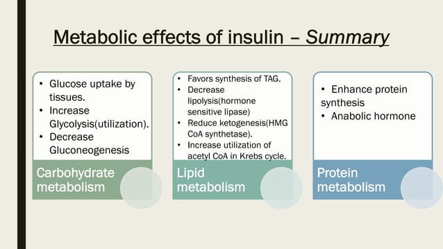 biochemistry- Role of insulin in metabolism- PHYSIOLOGICAL ACTION OF INSULIN | PDF