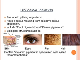 Pigment Biology Examples