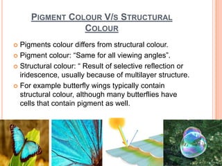 Plant Pigments and their role | PPTX