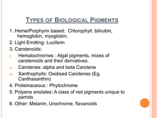 Plant Pigments and their role | PPTX