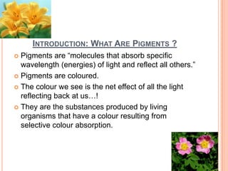 Plant Pigments and their role | PPTX