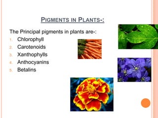 Plant Pigments and their role | PPT