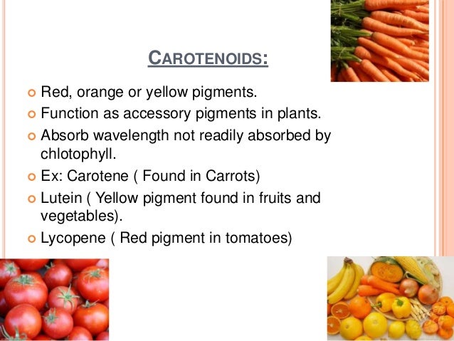 Plant Pigments and their role
