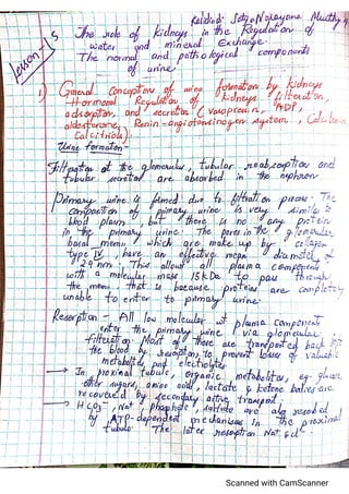 Biochemistry topic 15 (kidneys)(Satya Kalidindi 9a).pdf