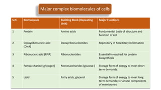 Biochemistry unit 1.pptx