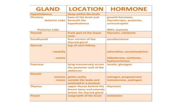 GBSN - Biochemistry (Unit 13) Hormones | PPT