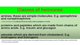 GBSN - Biochemistry (Unit 13) Hormones | PPTX