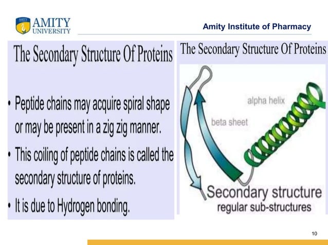 biochemistry unit 1 protein.pptx