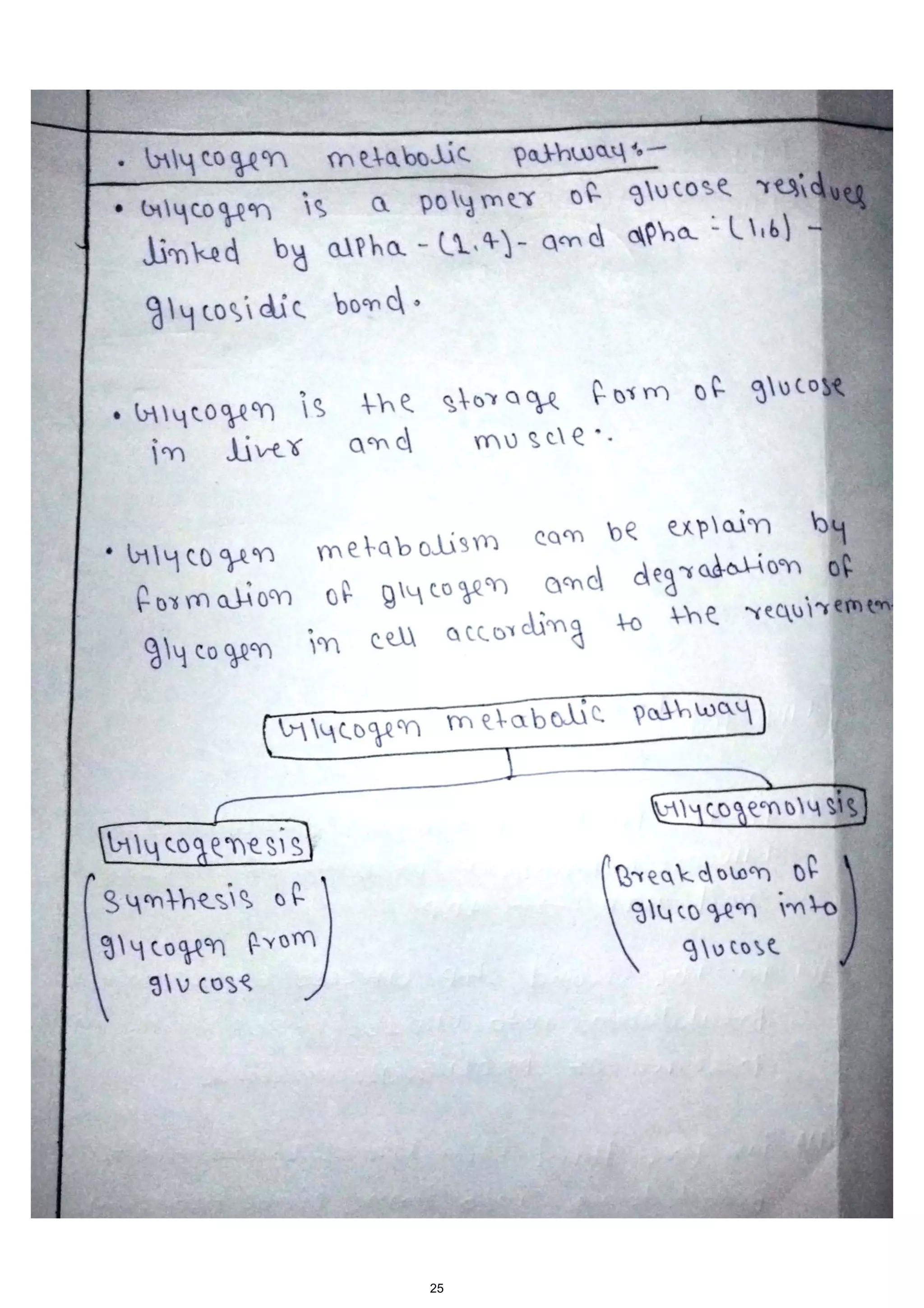 Carbohydrate metabolism, Biological oxidation, Biochemistry unit 2 b ...