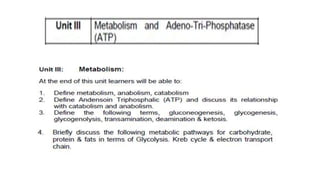 GBSN - Biochemistry (Unit 3) Metabolism | PPTX