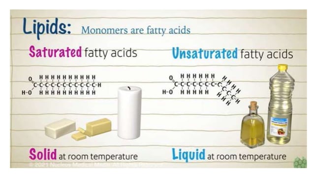 GBSN - Biochemistry (Unit 5) Chemistry of Lipids | PPTX