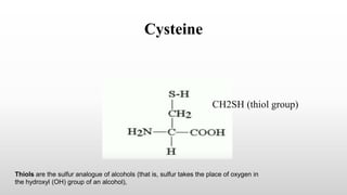 GBSN - Biochemistry (Unit 6) Chemistry of Proteins | PPTX