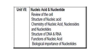 GBSN - Biochemistry (Unit 7) Nucleic acid and nucleotide | PPT