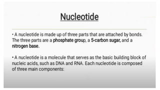 GBSN - Biochemistry (Unit 7) Nucleic acid and nucleotide | PPT