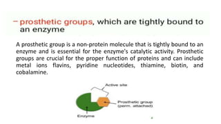 GBSN - Biochemistry (Unit 8) Enzymology | PPT