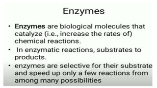 GBSN - Biochemistry (Unit 8) Enzymology | PPT