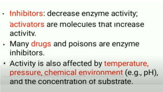 GBSN - Biochemistry (Unit 8) Enzymology | PPT