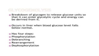 Post RN - Biochemistry (Unit 8) Metabolism of Carbohydrates | PPTX