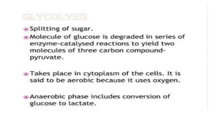 Post RN - Biochemistry (Unit 8) Metabolism of Carbohydrates | PPTX