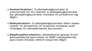 Post RN - Biochemistry (Unit 8) Metabolism of Carbohydrates | PPTX