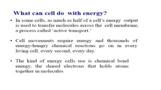 GBSN - Biochemistry (Unit 9) Bio-energetic and Metabolism | PPTX