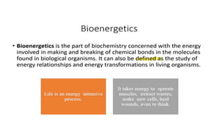 GBSN - Biochemistry (Unit 9) Bio-energetic and Metabolism | PPTX