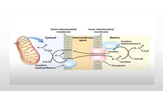 Post RN - Biochemistry (Unit 9) Metabolism of Fat | PPTX