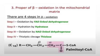 Post RN - Biochemistry (Unit 9) Metabolism of Fat | PPTX