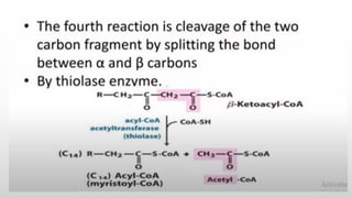 Post RN - Biochemistry (Unit 9) Metabolism of Fat | PPTX
