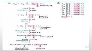 Post RN - Biochemistry (Unit 9) Metabolism of Fat | PPTX