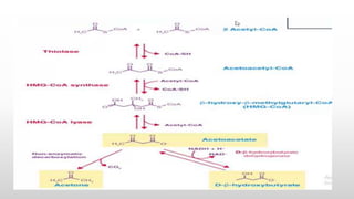 Post RN - Biochemistry (Unit 9) Metabolism of Fat | PPTX