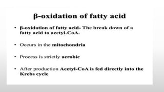 Post RN - Biochemistry (Unit 9) Metabolism of Fat | PPTX