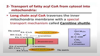 Post RN - Biochemistry (Unit 9) Metabolism of Fat | PPTX