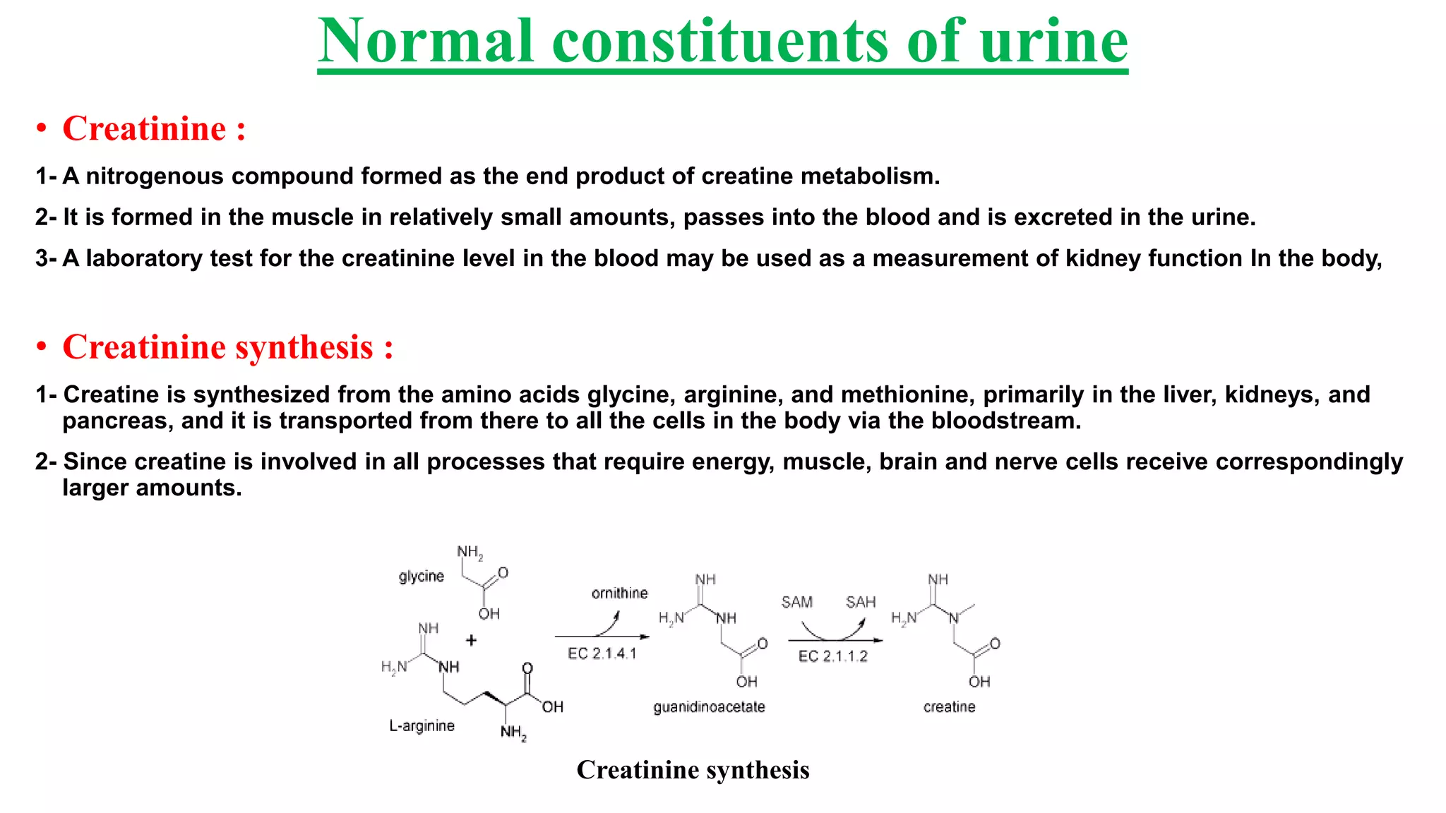 Biochemistry (urine analysis normal and abnormal urine constituents) | PDF