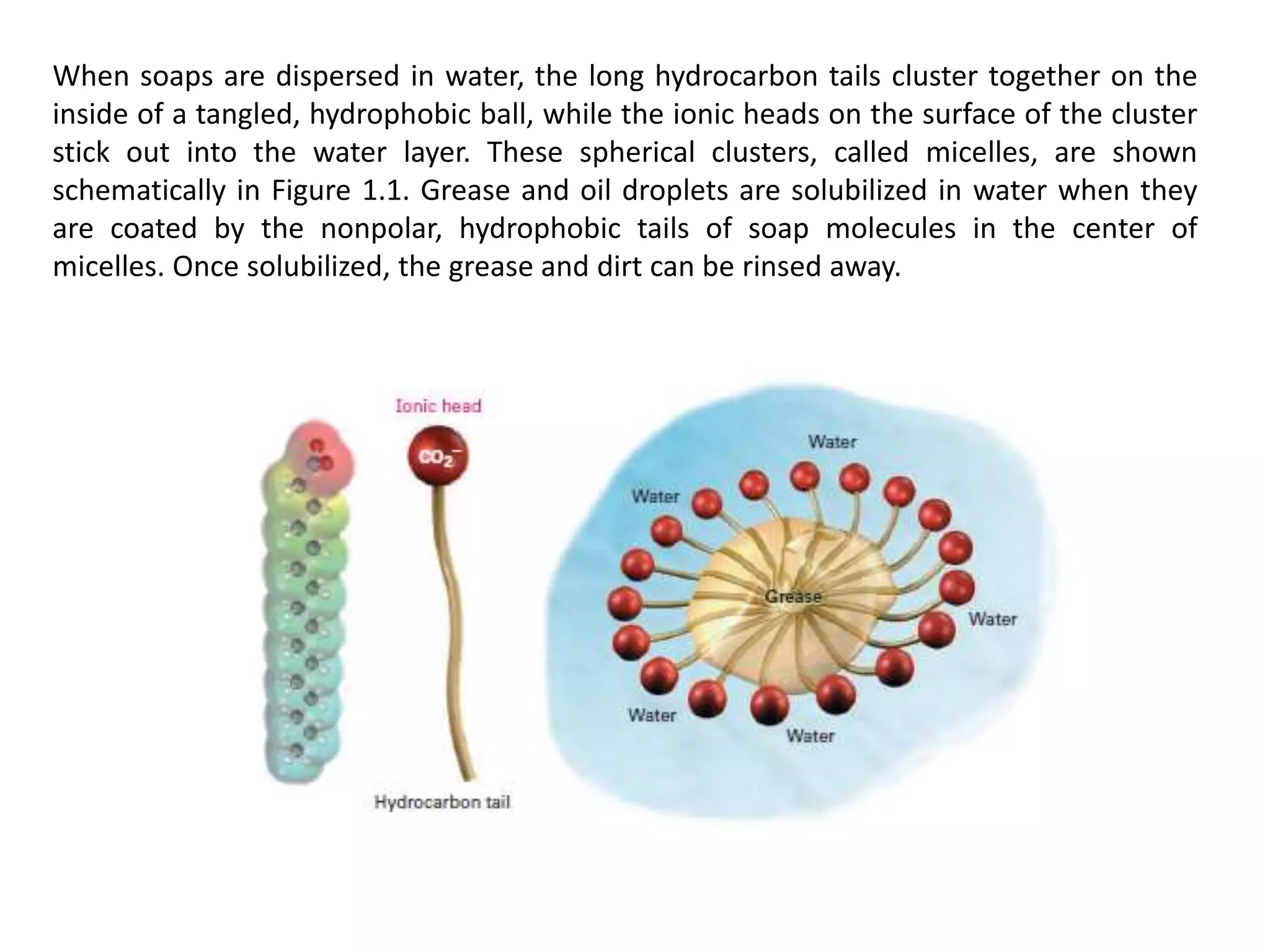 Biochemistry lipids | PPT
