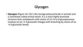 Biochem carbohydrates lec 11 13 | PPTX | Chemistry | Science