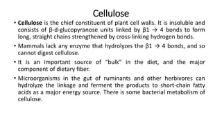 Biochem carbohydrates lec 11 13 | PPTX | Chemistry | Science