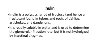 Biochem carbohydrates lec 11 13 | PPTX | Chemistry | Science