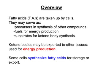 Biochem lipid metabolism | PPT