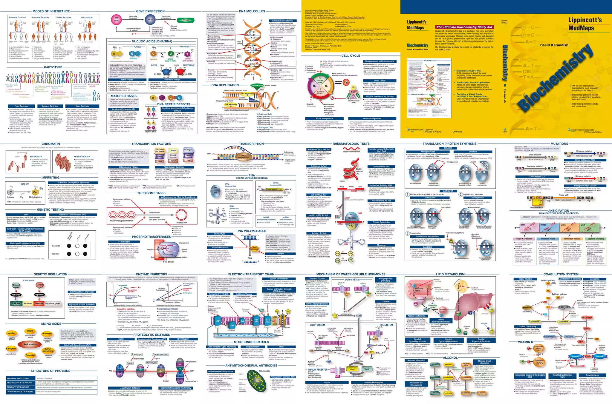 BioChem_Map.pdf