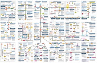 BioChem_Map.pdf
