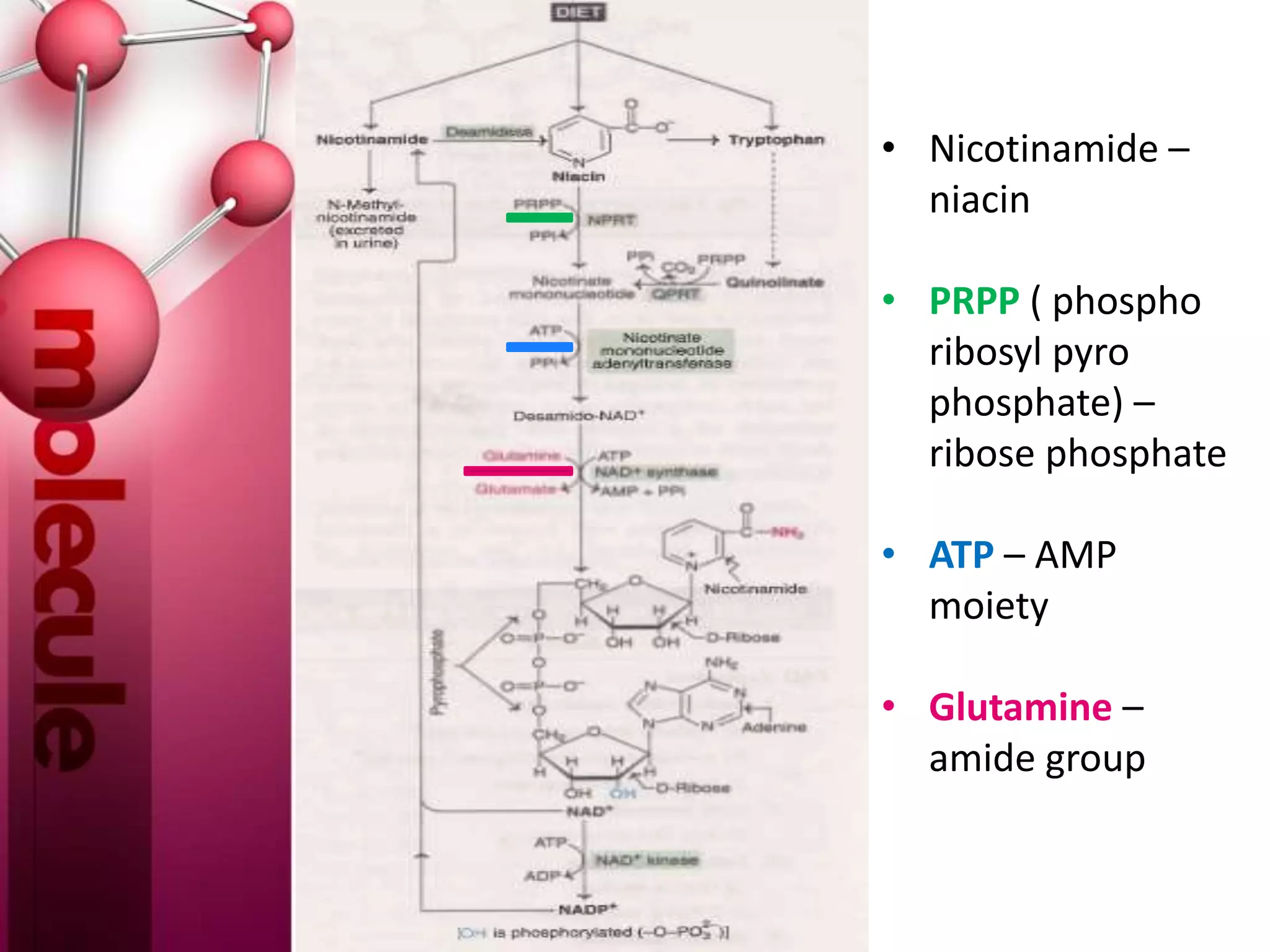 Biochemstry of niacin | PPTX