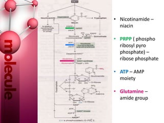 Biochemstry of niacin | PPT