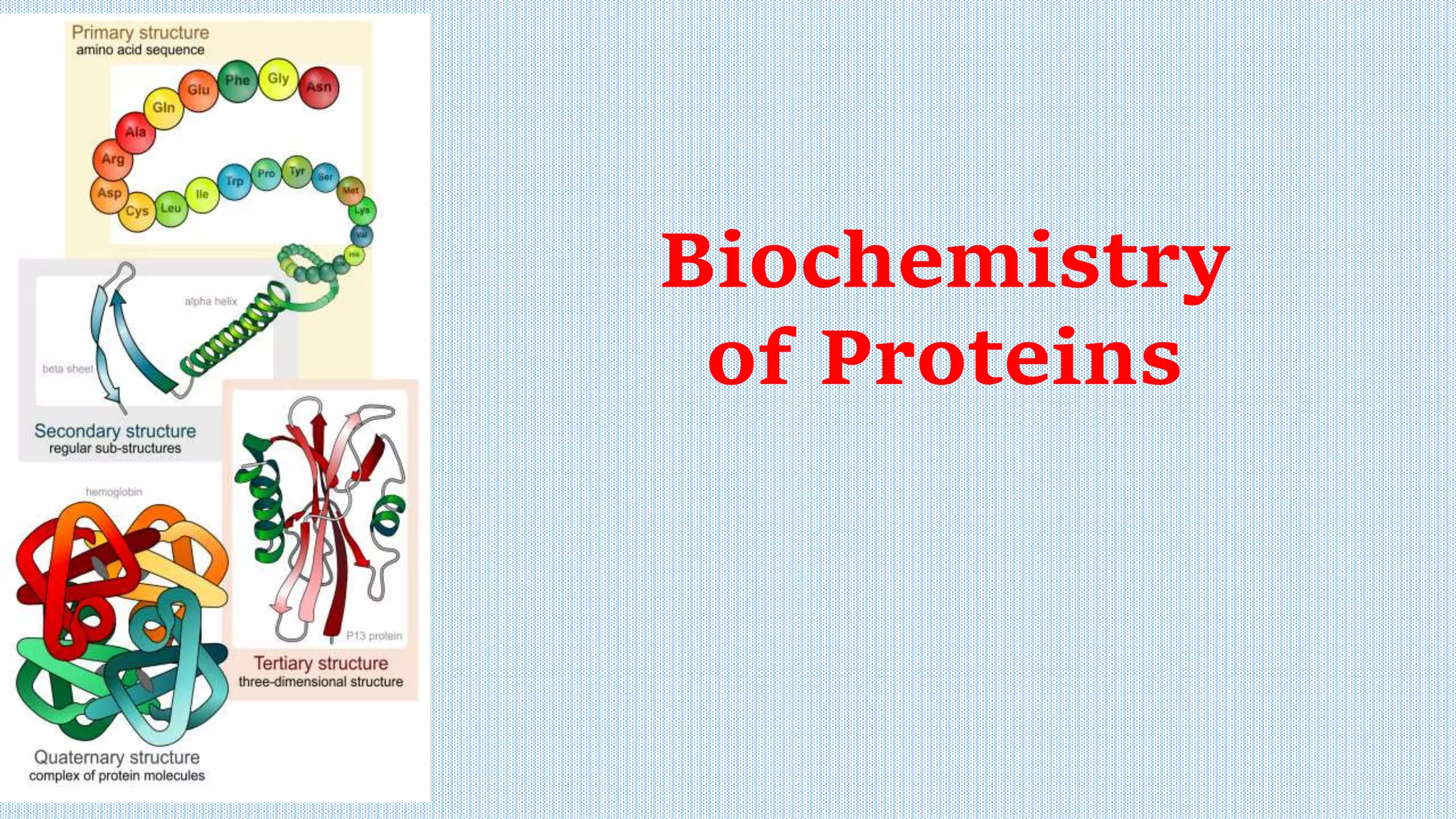 Biochem of proteins.pptx