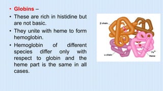 Biochem of proteins.pptx
