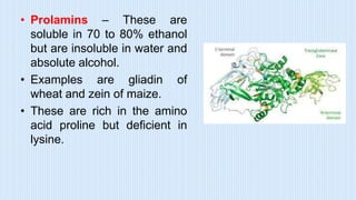 Biochem of proteins.pptx